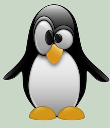 Linux Worm Targets "Internet of things" - SecurityWeek